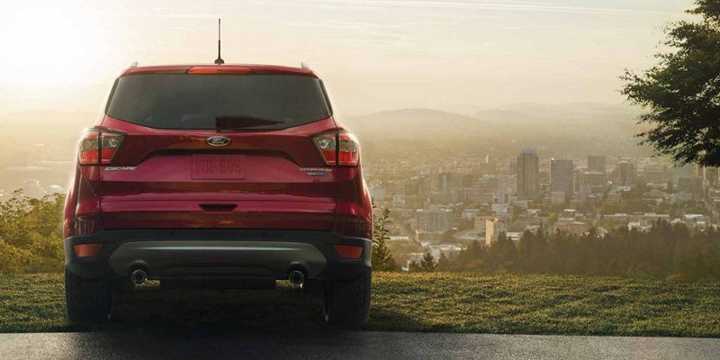 Check Out the 2019 Ford Escape - Elder Ford of Tampa Blog